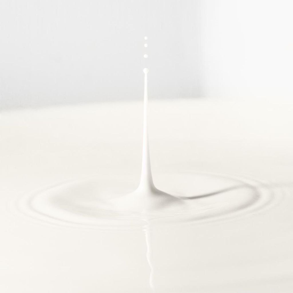 Shop Probiotic Coconut Kefir by Kefir Lab