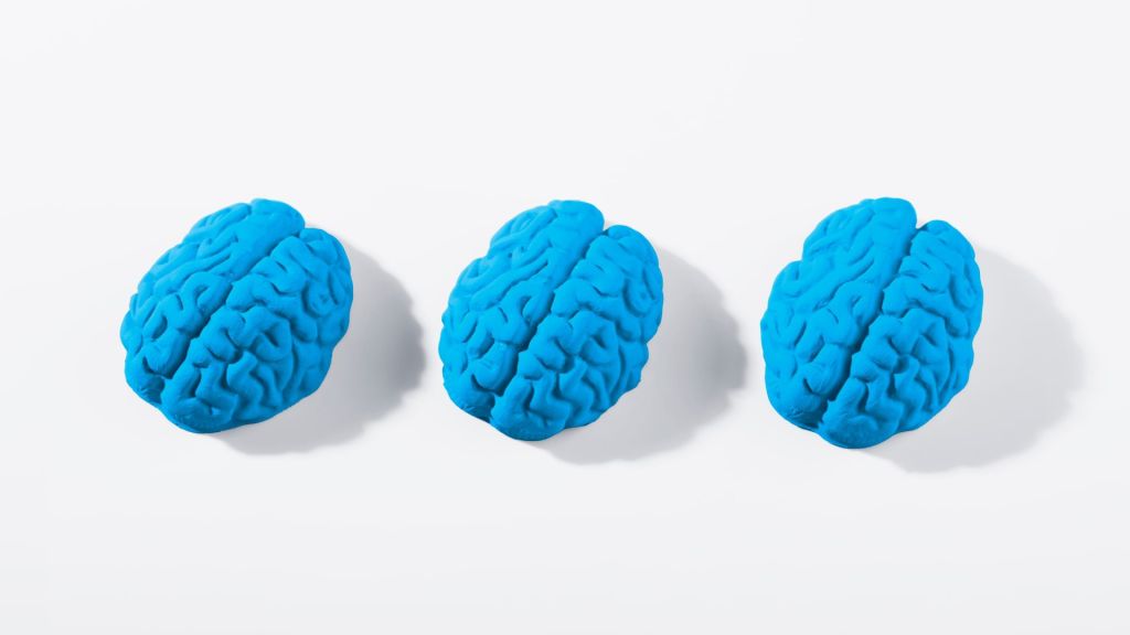 Gut Brain Connection Boost Your Health And Mind Kefir Lab