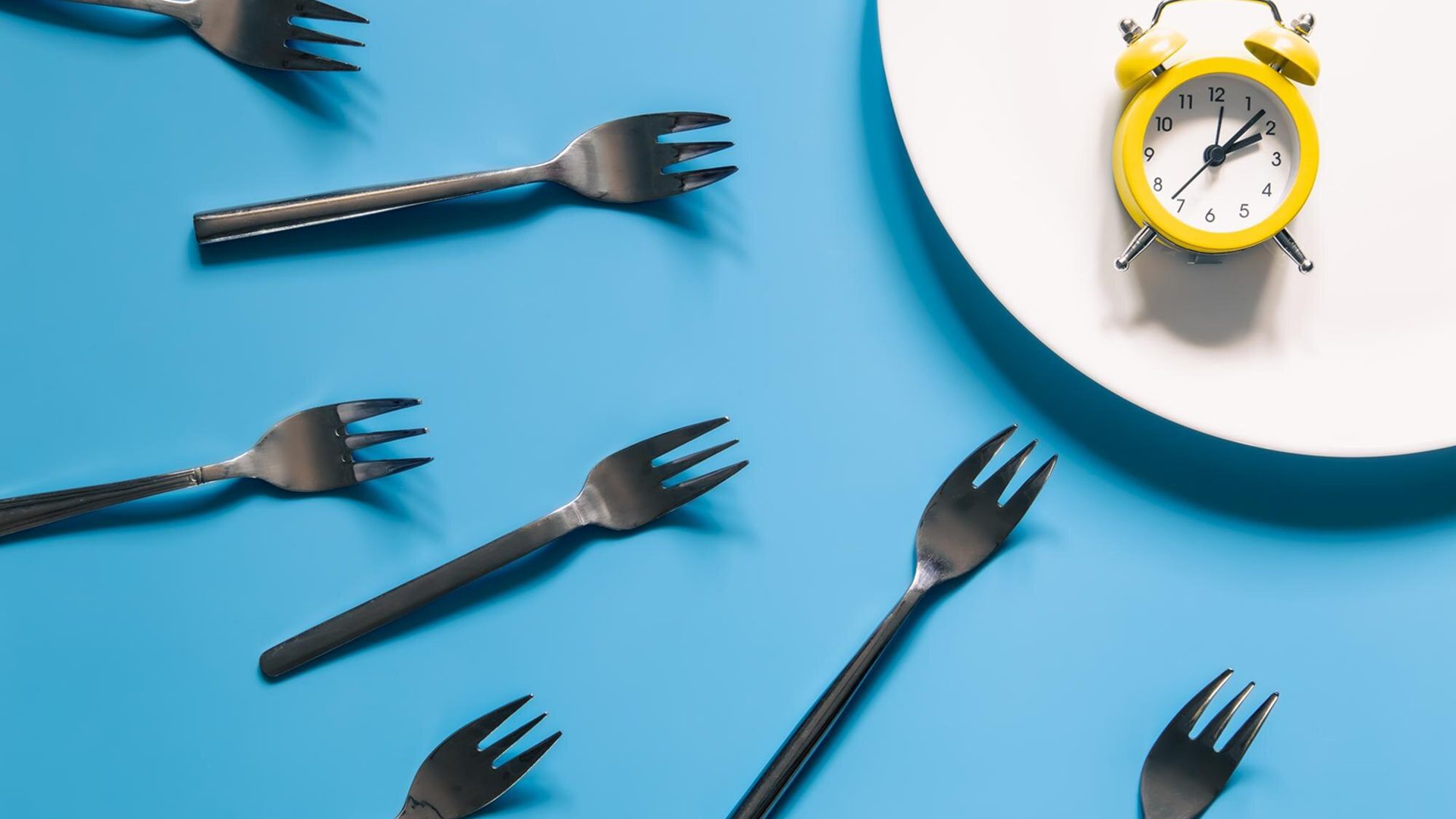 Day 11 – Timing Matters | Kefir Lab